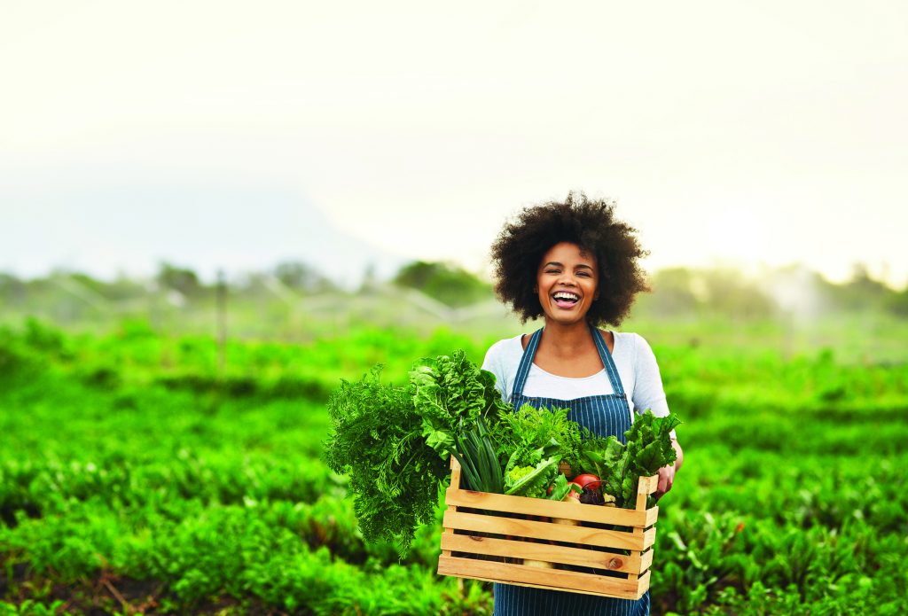 Local Vendors - GreenAcres Market